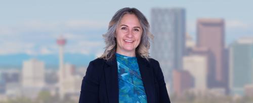 Importance of Governance Structures for Family Businesses – Andersen